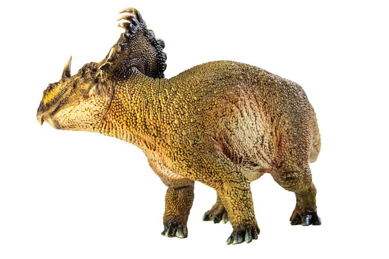 Sinoceratops Stock Photos - Free & Royalty-Free Stock Photos from ...