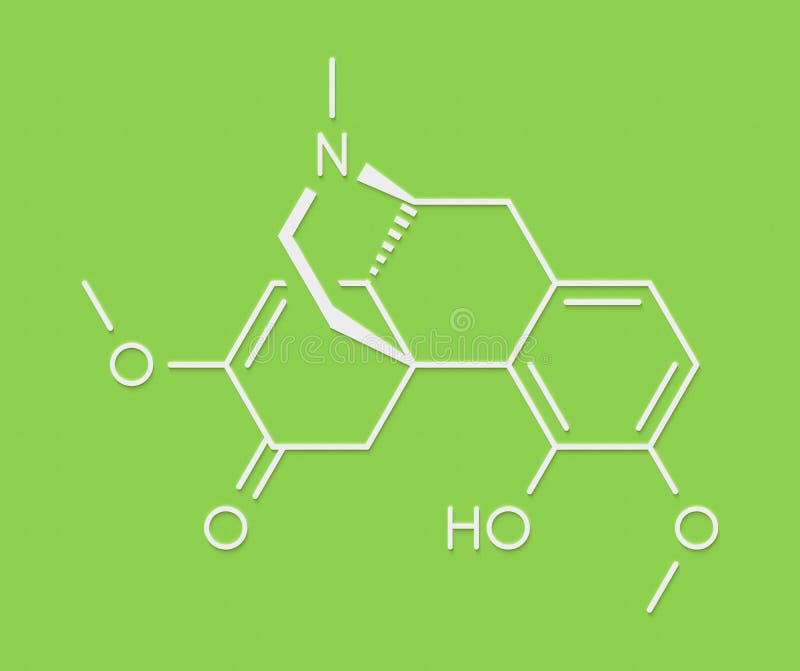 Sinomenine Herbal Alkaloid Molecule. Isolated from Sinomenium Acutum ...
