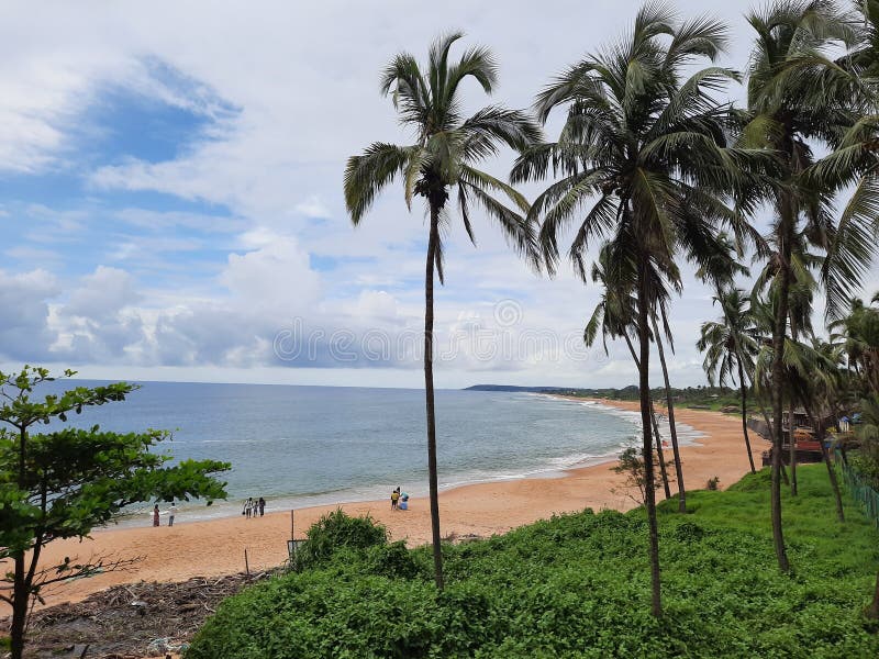 Sinquerim Beach in Goa. Palm Trees on the Sinquerim Beach Stock Photo ...
