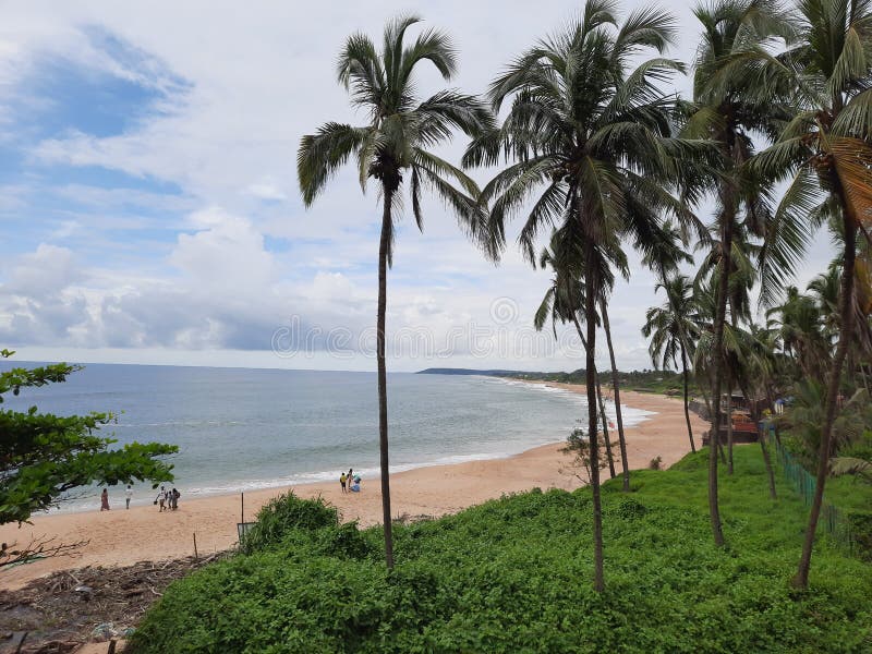 Sinquerim Beach in Goa. Palm Trees on the Sinquerim Beach Stock Image ...