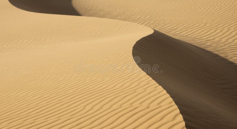 Sinuous Desert Dunes: Abstract Curves and Textures in Golden Sands ...