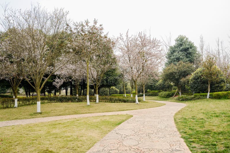 Sinuous Path in Grassy Lawn before Fenced Building in Sunny Summer ...