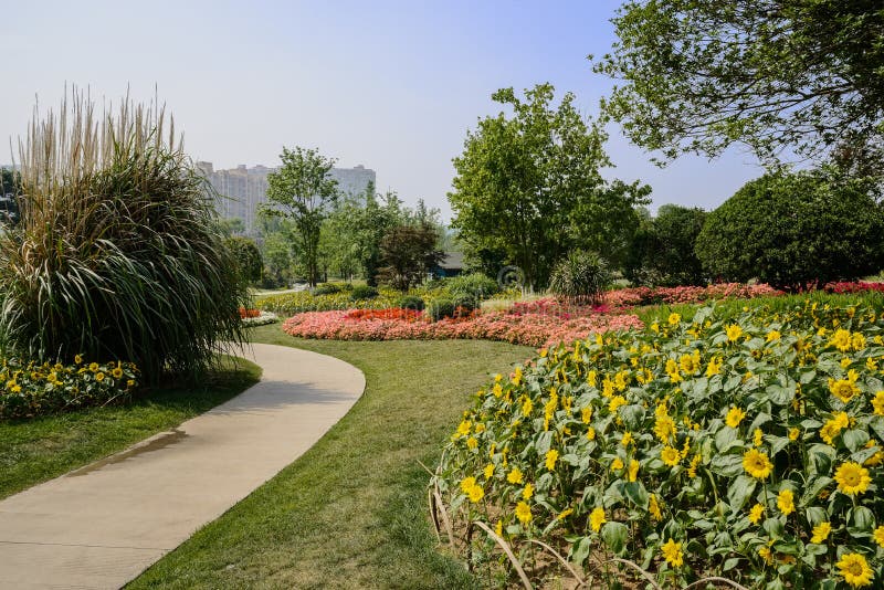 Sinuous Path on Flowering Hillside in Sunny Summer Stock Photo - Image ...