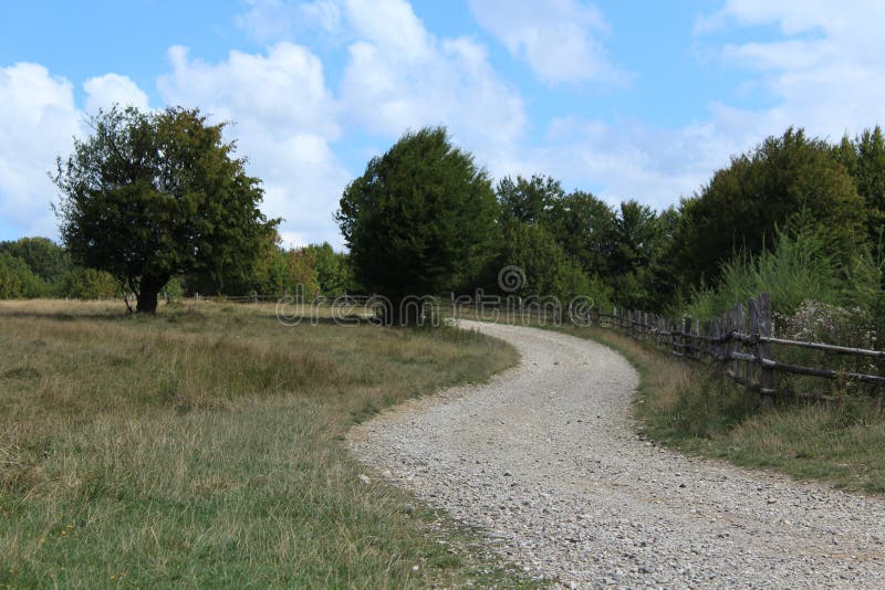 Sinuous Road in Summer Day stock image. Image of nature - 200448101