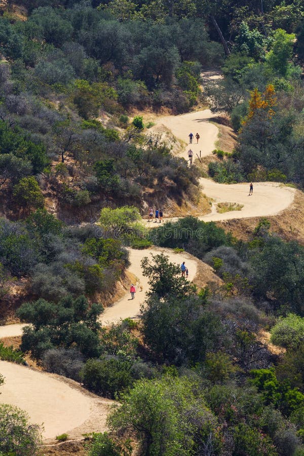 Sinuous Road in Summer Day stock image. Image of nature - 200448101