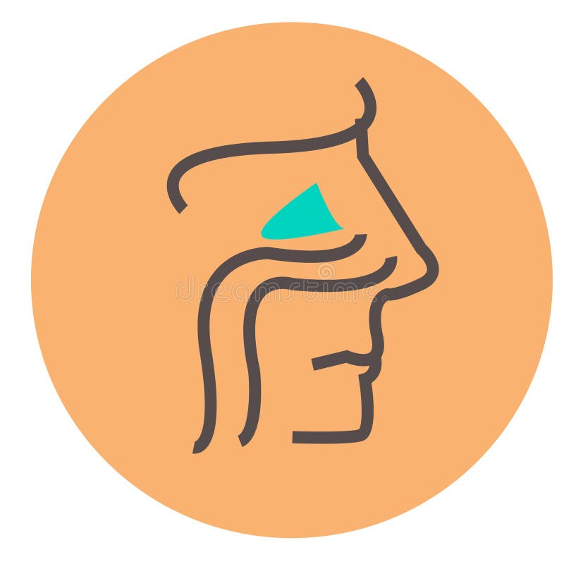 Sinuses and Location on the Head of a Human Icon Stock Vector ...