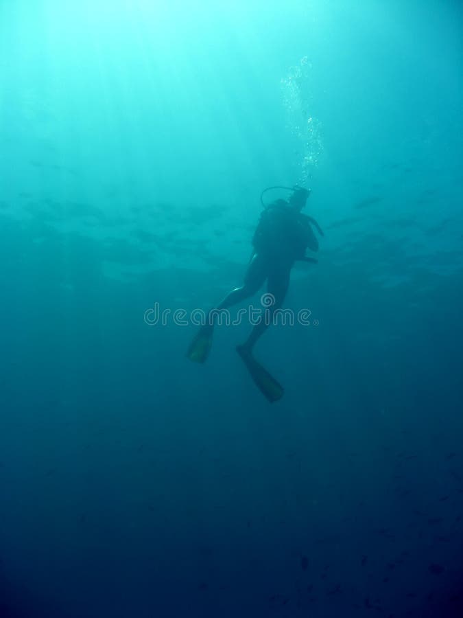 Sipadan Taucher stockfoto. Bild von asien, asiatisch, tauchen - 1557784