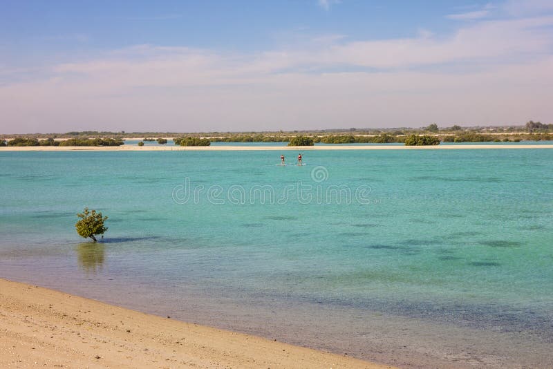 Sir Bani Yas Island, Abu Dhabi, UAE Stock Photo - Image of recreation ...