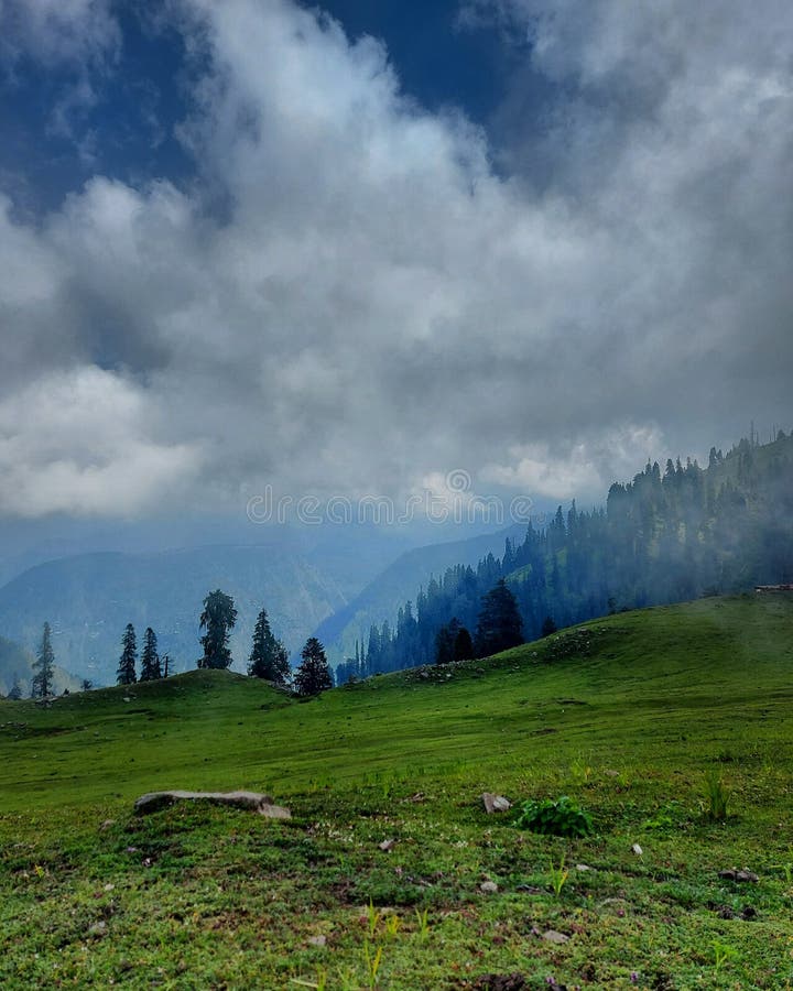 Siri Paye Meadows, Kaghan Valley KPK Pakistan ðŸ‡µðŸ‡° Stock Photo ...