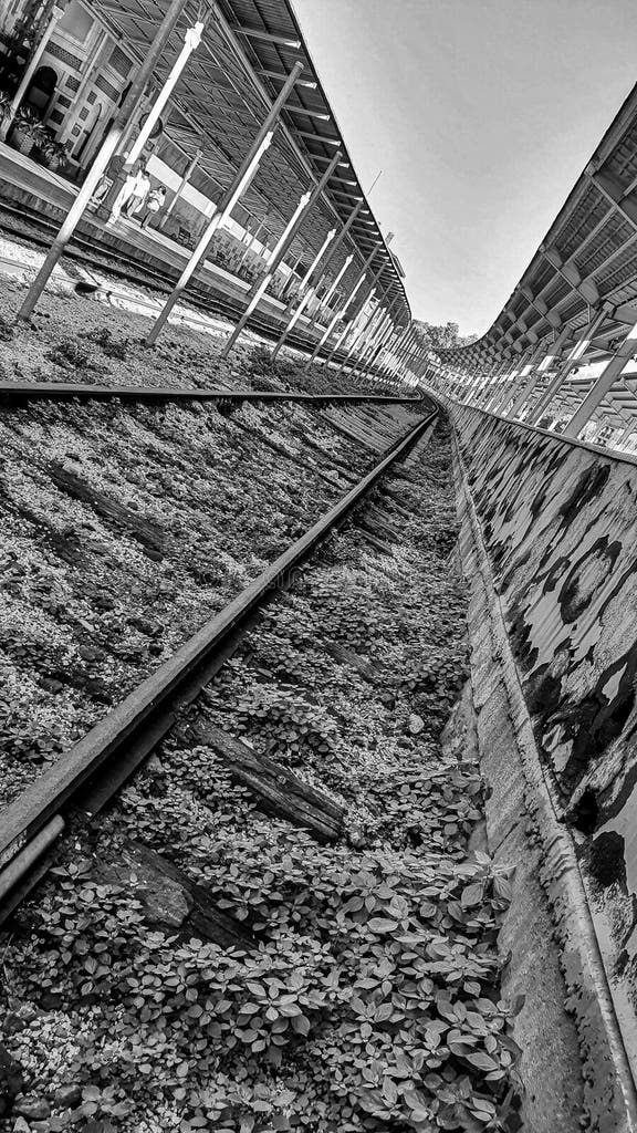 Sirkeci Train Railways stock photo. Image of train, tree - 233779404