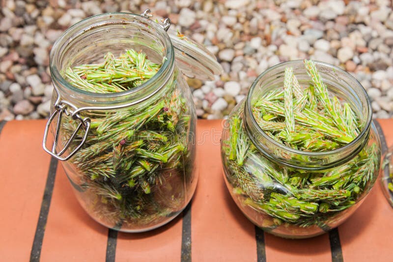 Sirop de pousse de pin photo stock. Image du catarrhe - 35197832