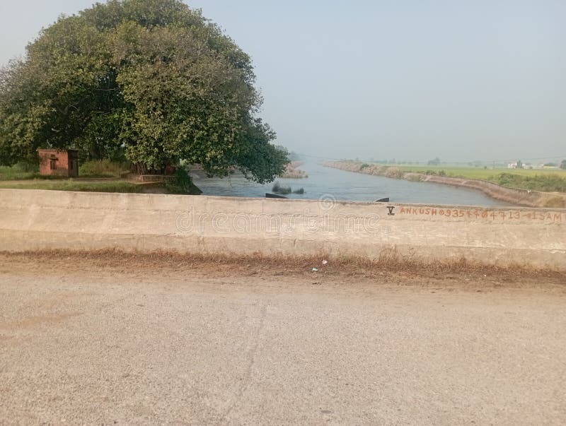 Sirsa Branch River and Old Bird Tree Near it. Stock Photo - Image of ...