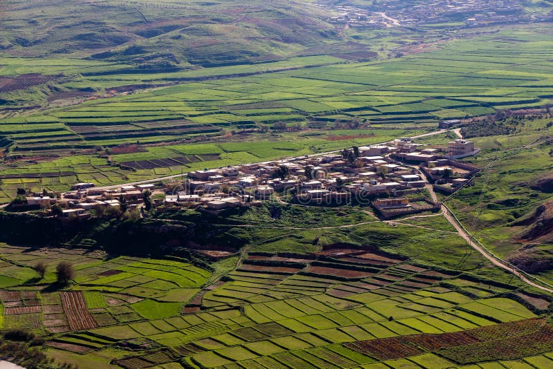 Sirvan stock image. Image of grape, farm, nature, rice - 44243895