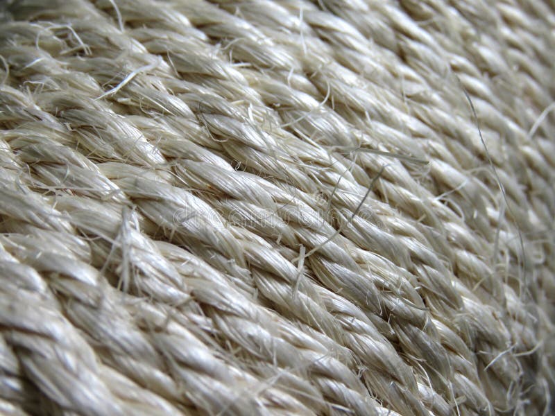 Sisal rope stock photo. Image of rope, natural, straching - 125023724