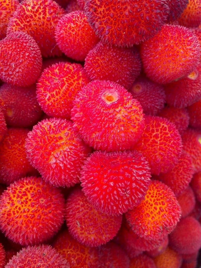 Frouit Rouge Stock Photos - Free & Royalty-Free Stock Photos from ...