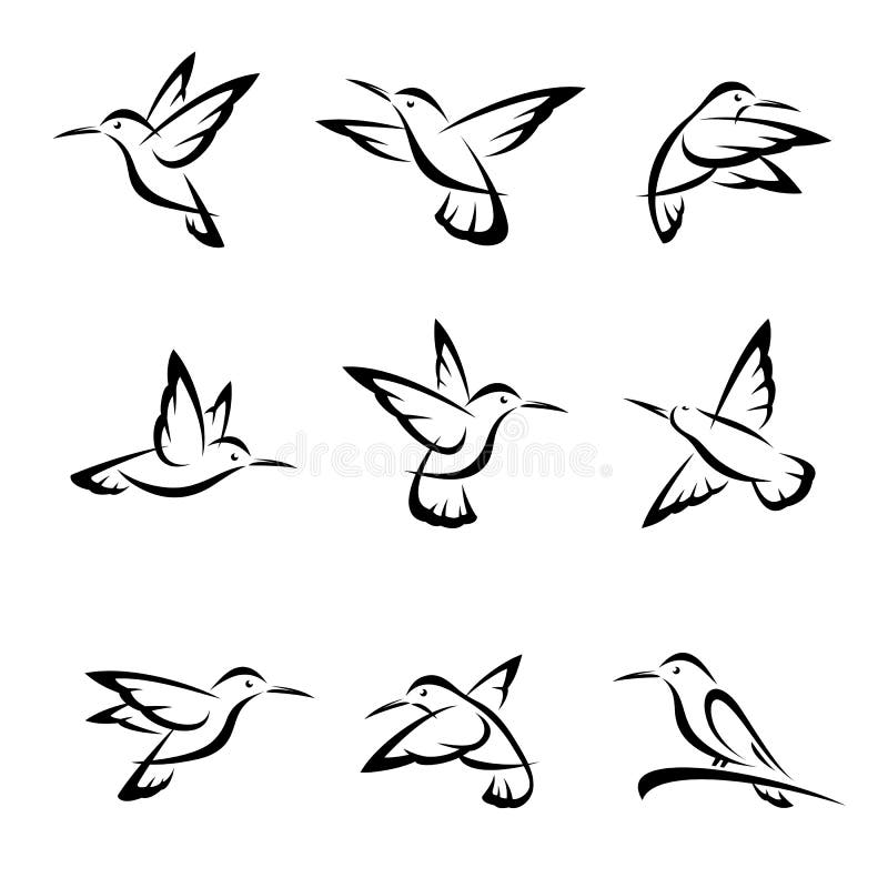 Sistema de Colibri Vector ilustración del vector. Ilustración de arte ...