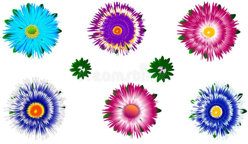 Sistema De Diversos Asteres Coloridos Con Los Brotes Ilustración del ...