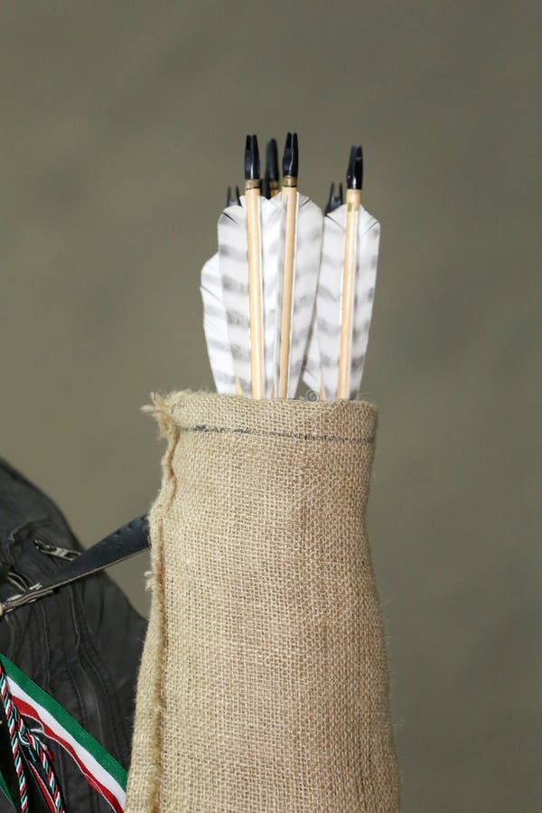 Sistema De Flechas En Un Estremecimiento Foto de archivo - Imagen de ...