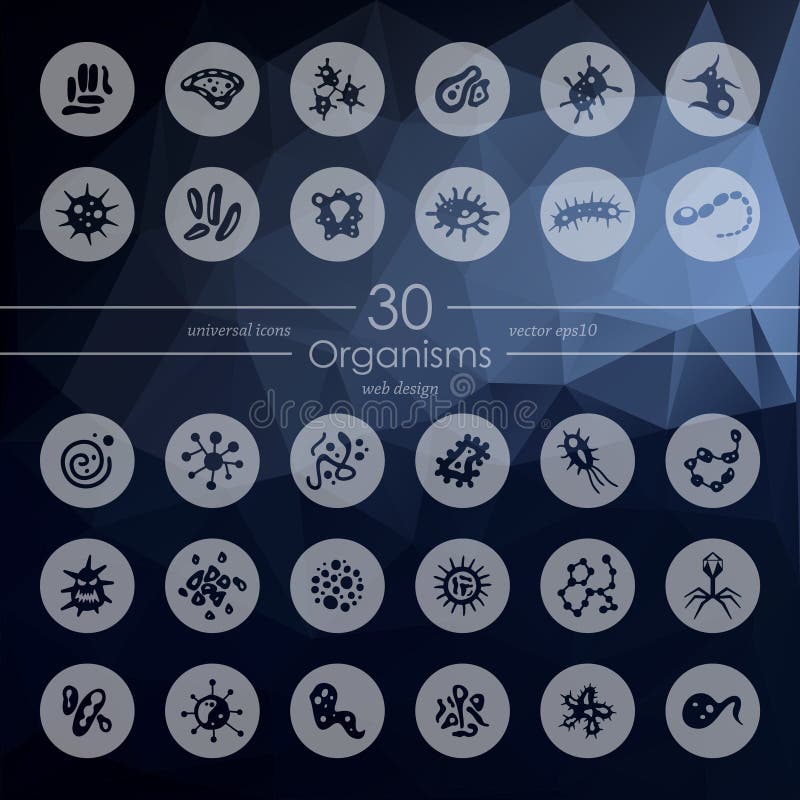 Sistema De Iconos De Los Organismos Ilustración del Vector ...