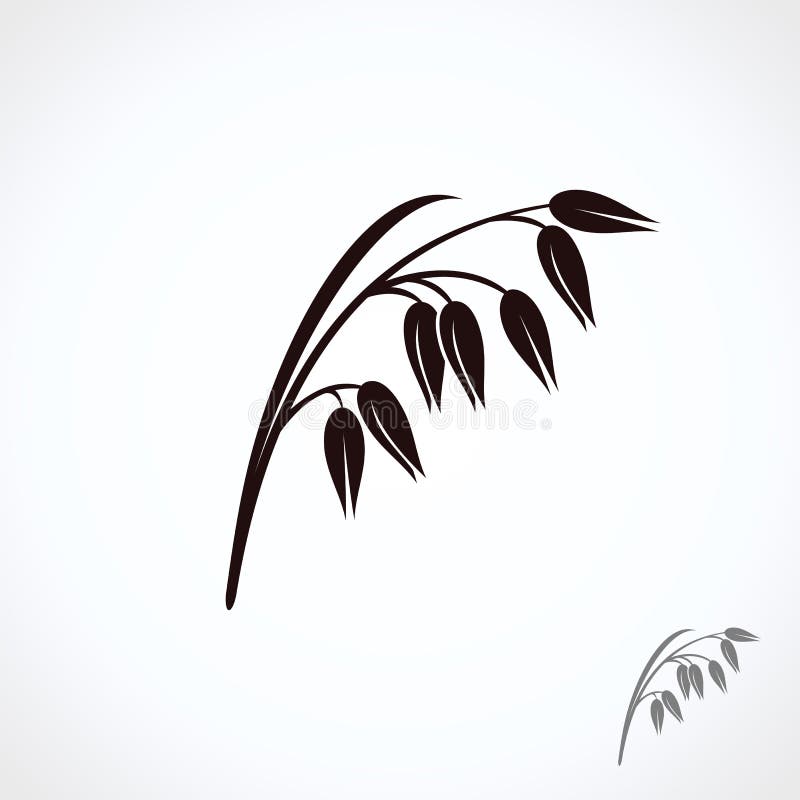 Sistema De La Colección De La Avena Vector Ilustración del Vector ...