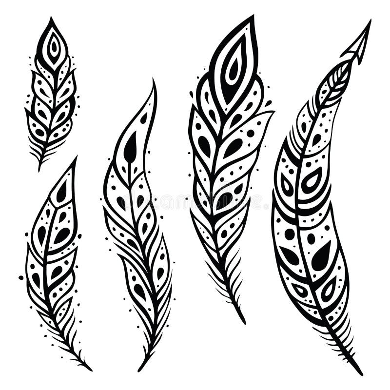 Sistema De La Pluma Del Pavo Real Ilustración del Vector - Ilustración ...