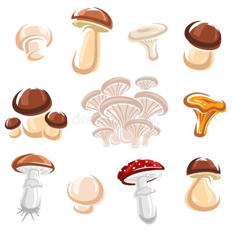 Sistema de la seta. Vector ilustración del vector. Ilustración de ...