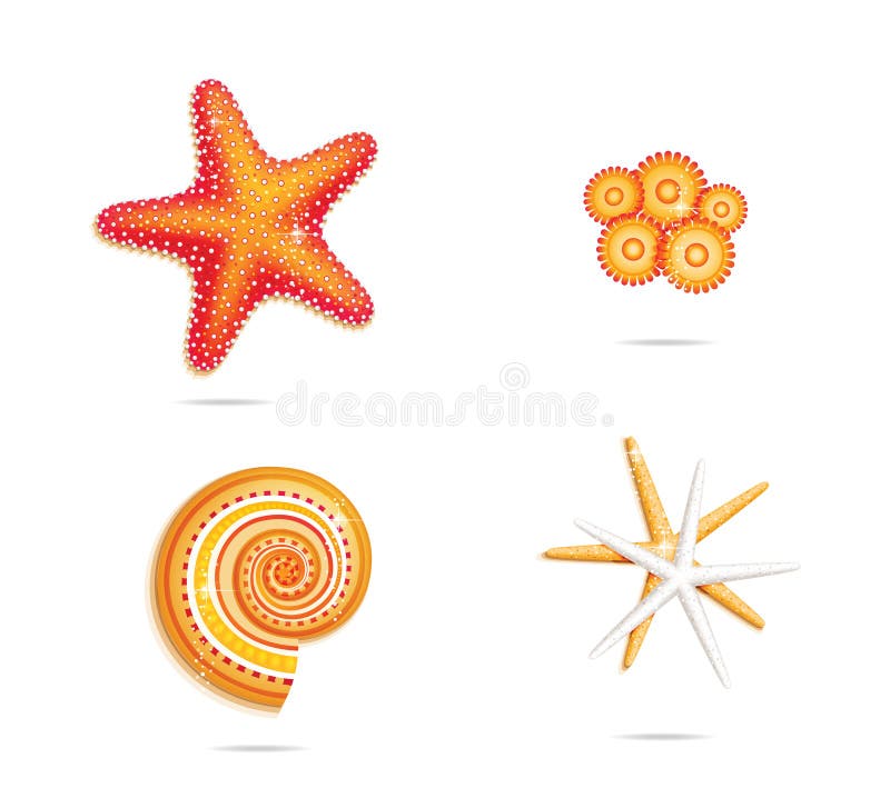 Conjunto De Símbolos De Estrellas De Mar Tropicales Ilustración del ...