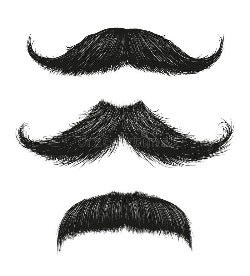 Sistema de tres bigotes ilustración del vector. Ilustración de vendimia ...