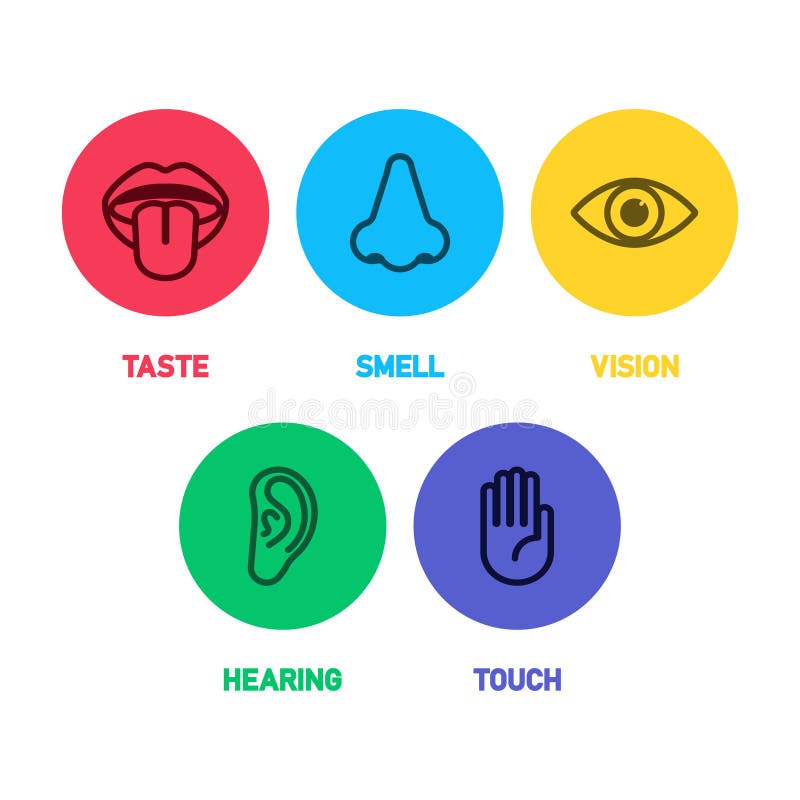 Sistema Del Icono De Cinco Sentidos Humanos Ilustración del Vector ...