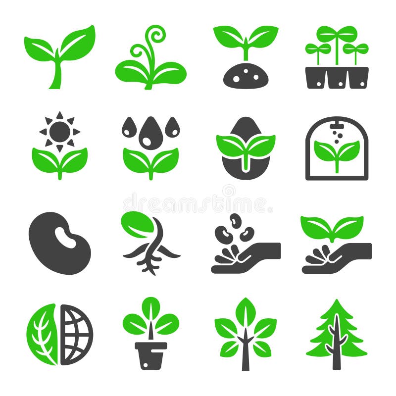 Sistema Del Icono De La Planta Ilustración del Vector - Ilustración de ...