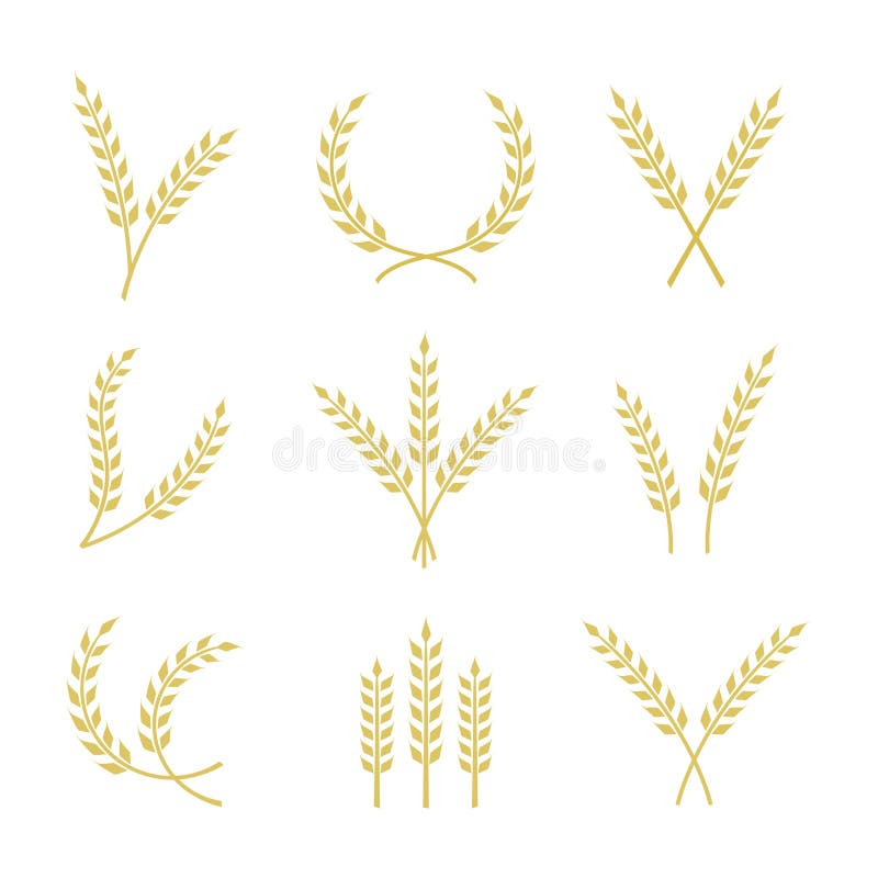 Sistema Del Icono Del Trigo Del Vector Ilustración del Vector ...