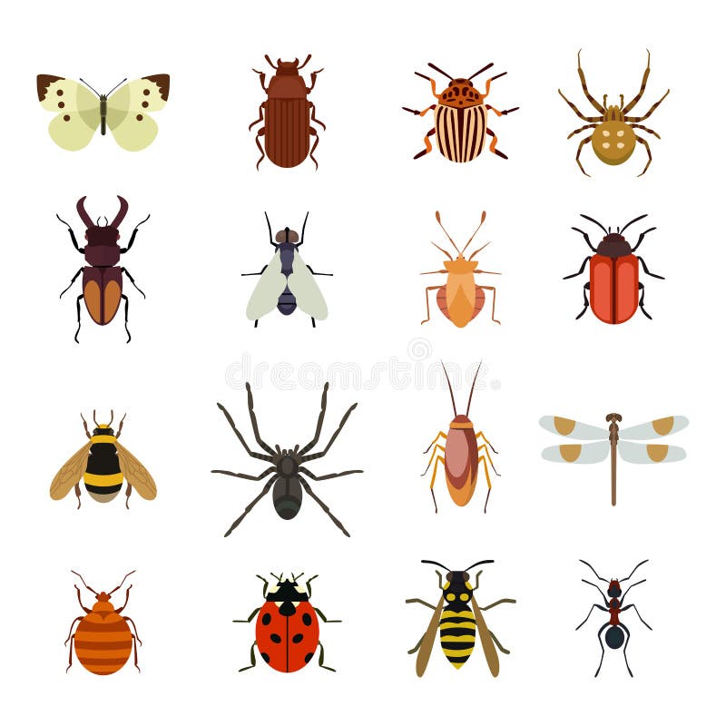 Sistema Del Plano De Los Iconos De Los Insectos Ilustración del Vector ...