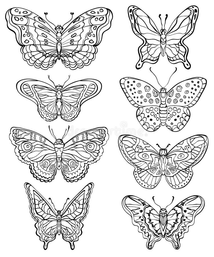 Sistema Del Vector De Diversas Mariposas De Las Formas Ilustración del ...