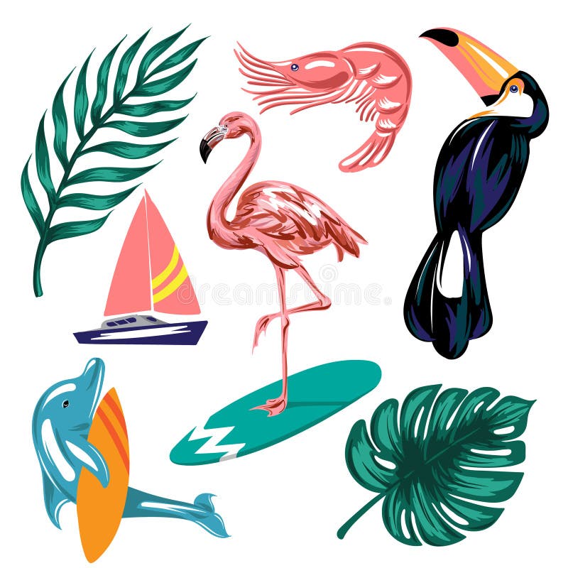 Sistema Dibujado Mano Del Vector De Ejemplos Tropicales Ilustración del ...