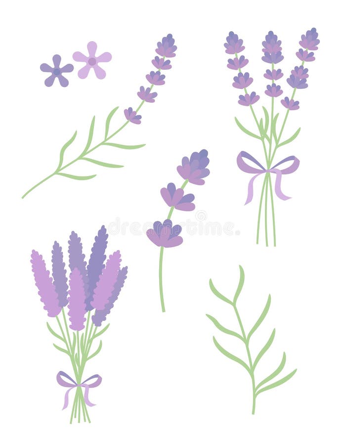 Sistema Plano Del Vector De La Lavanda Ilustración del Vector ...