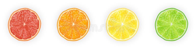 Sistema Realista Del Ejemplo Del Vector 3d De La Naranja Cortada ...