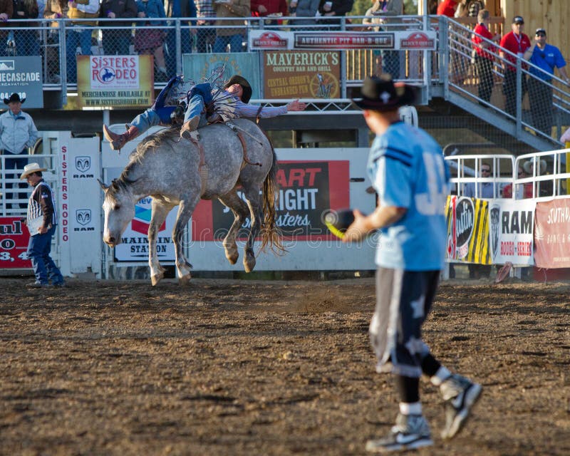 Sisters, Oregon Rodeo 2011 editorial photography. Image of steer - 19855592