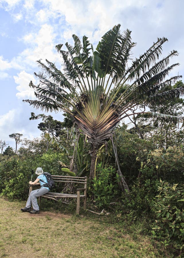 Sit on a bench stock image. Image of freedom, cloud - 135687485