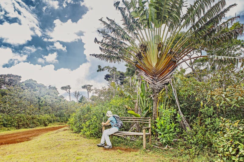 Sit on a bench stock photo. Image of park, lonely, explore - 135687868