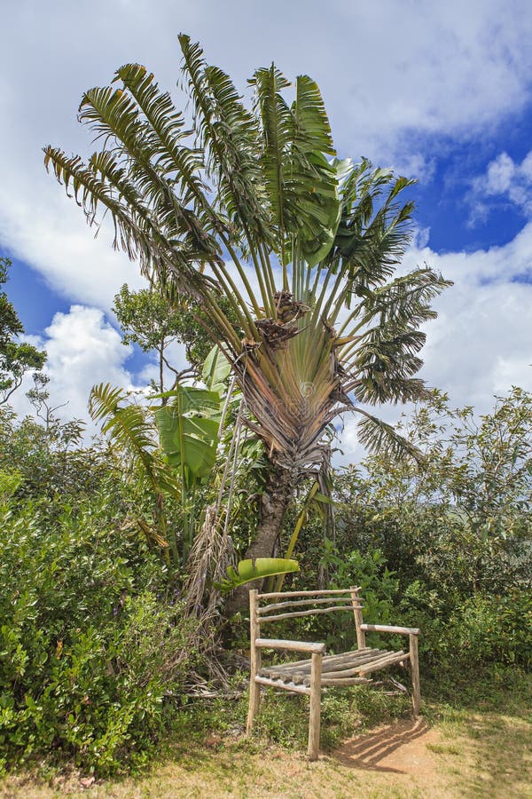Sit on a bench stock photo. Image of mountain, active - 135687858