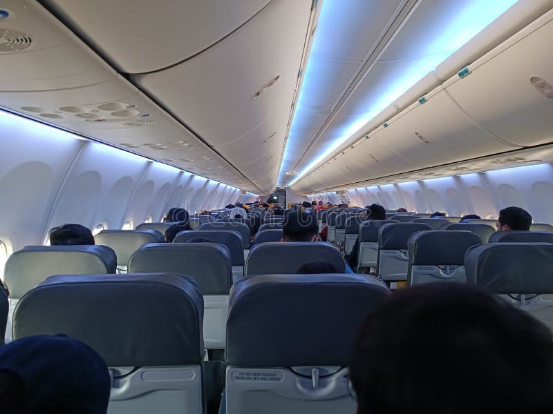 Sit on the Plane. Looking at the Chair from the Back of the Plane ...