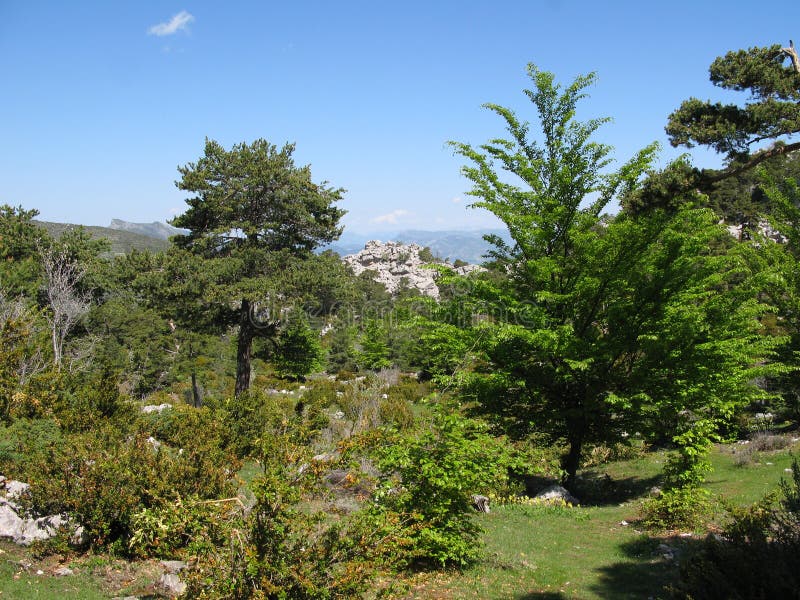 Site of the Cadieres of Brandished Stock Image - Image of region ...