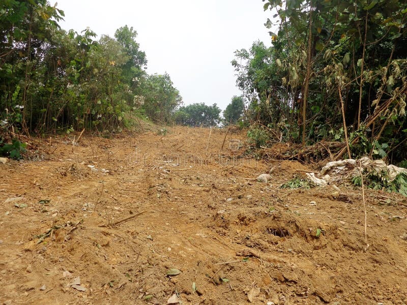 Site Clearing Works and Formation of Building Platforms for ...