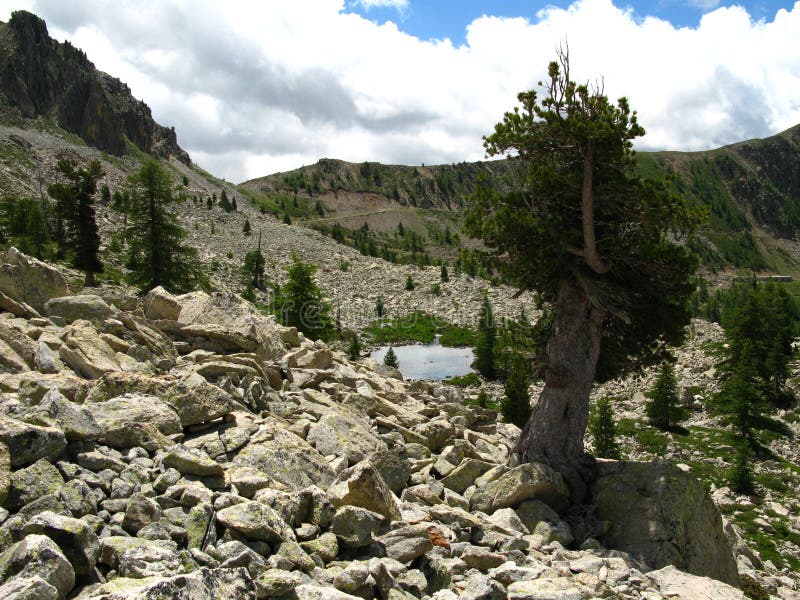 Site De La Terre Rouge, France Image stock - Image du repos, alpes ...
