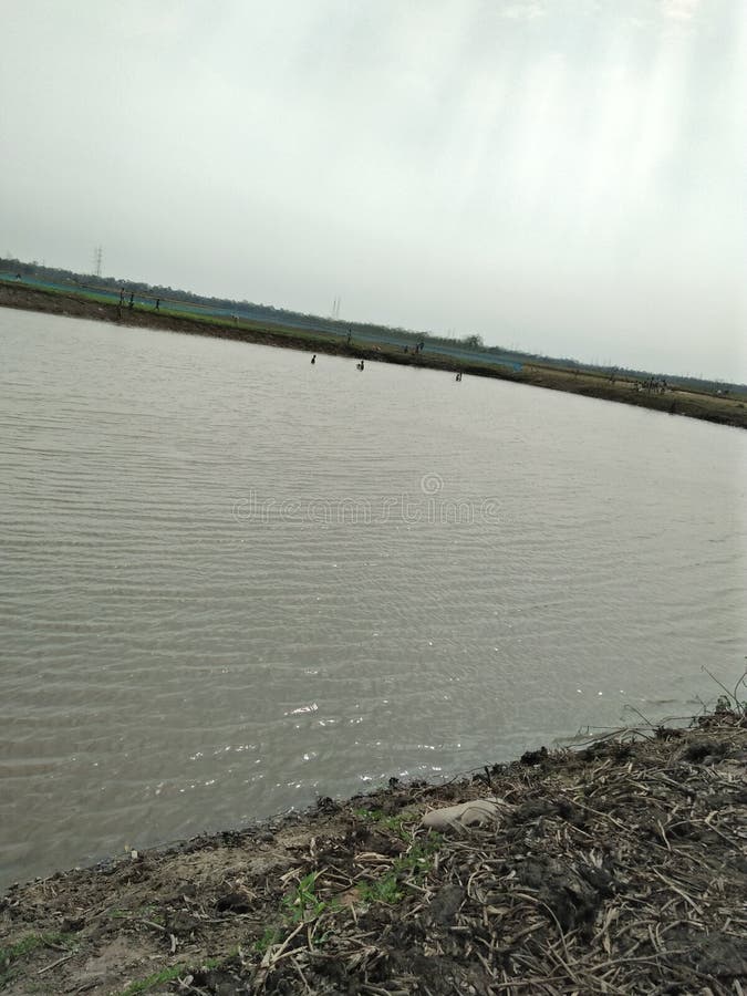 A site of a pond in Assam stock photo. Image of ecology - 174395536