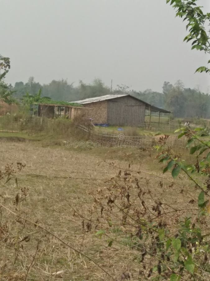 A Site of a Rural Place of Assam Stock Image - Image of site, place ...