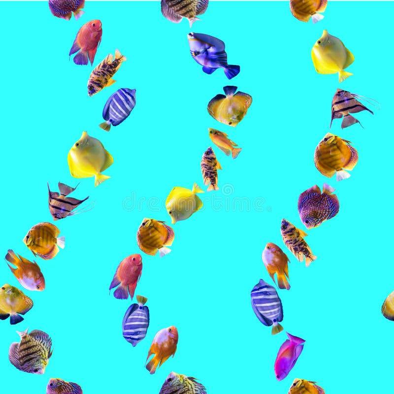 Wavy Seamless Pattern. Multi-colored Fishes on a Black Background ...