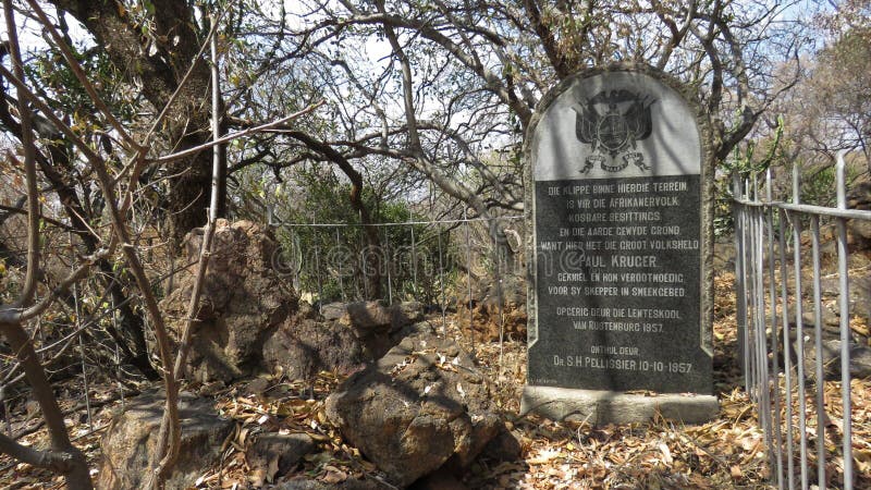 Cape Cobra Also Known As Geelslang, Hartbeespoort, North West, South ...