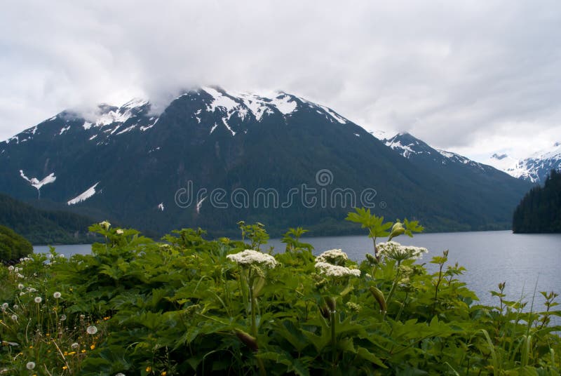 Sitka Bay stock image. Image of scenery, conservation - 17300259
