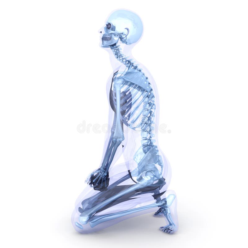 25+ Sitting anatomy Free Stock Photos - StockFreeImages